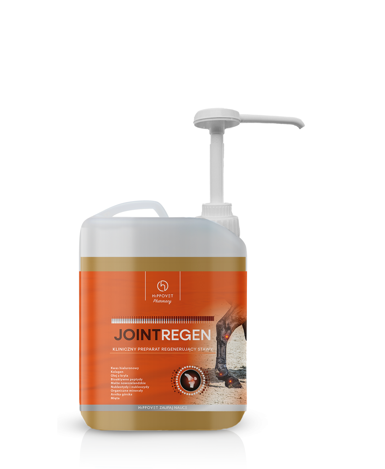 Suplement na stawy JOINT REGEN 1kg HIPPOVET - sklep jeździecki HorseQual