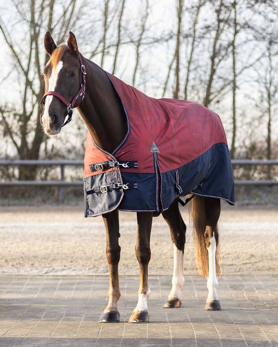 Derka padokowa z prz.szyją 150g saddlery QHP - sklep jeździecki HorseQual